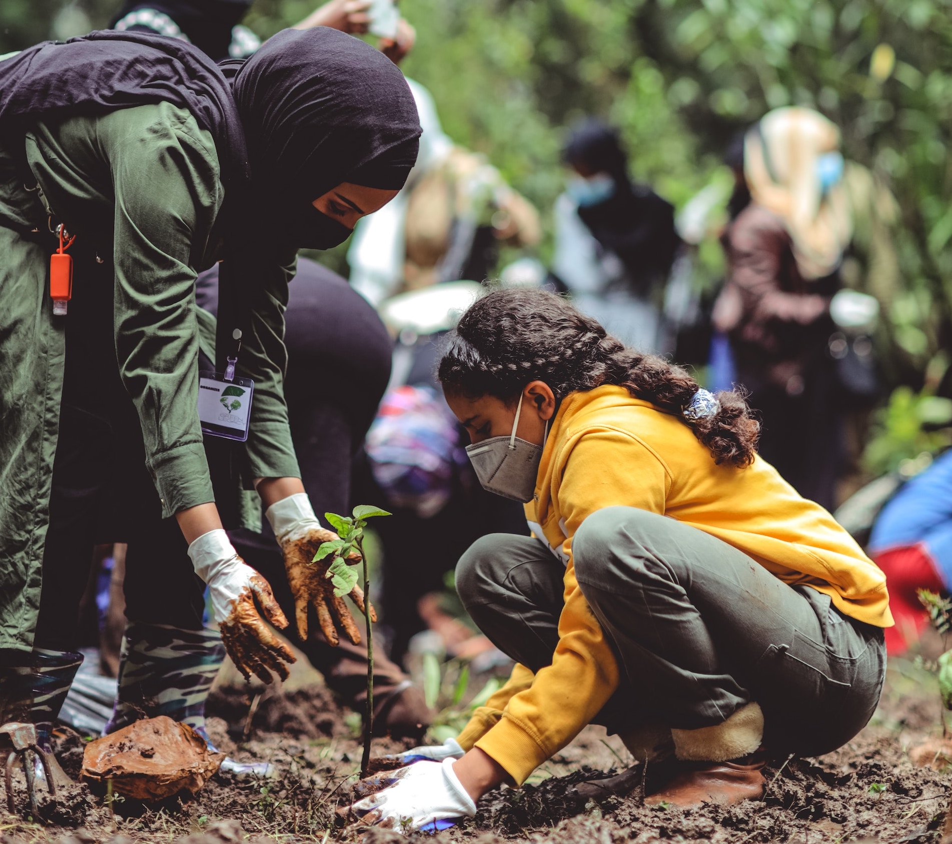 10 ideas for lowering carbon emissions in schools