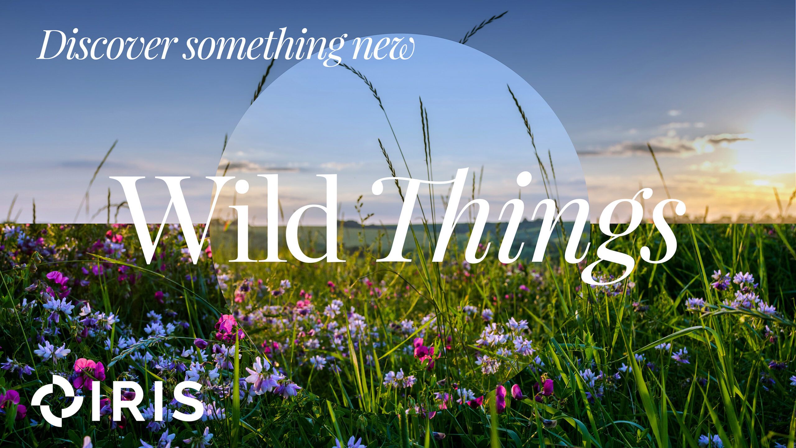 Wild Things - The Institute for Research in Schools