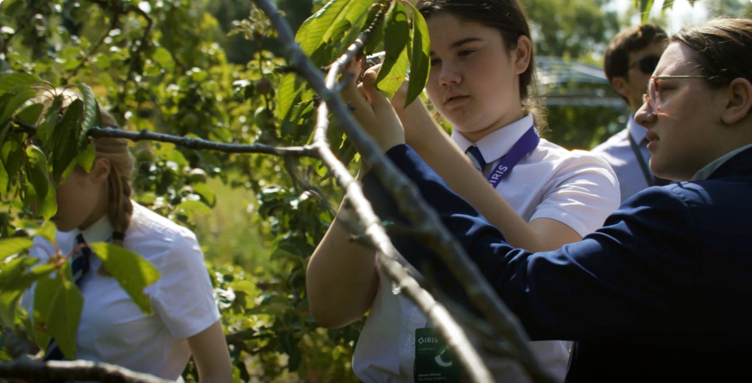 How student-led research builds skills for life - view our skills tracker